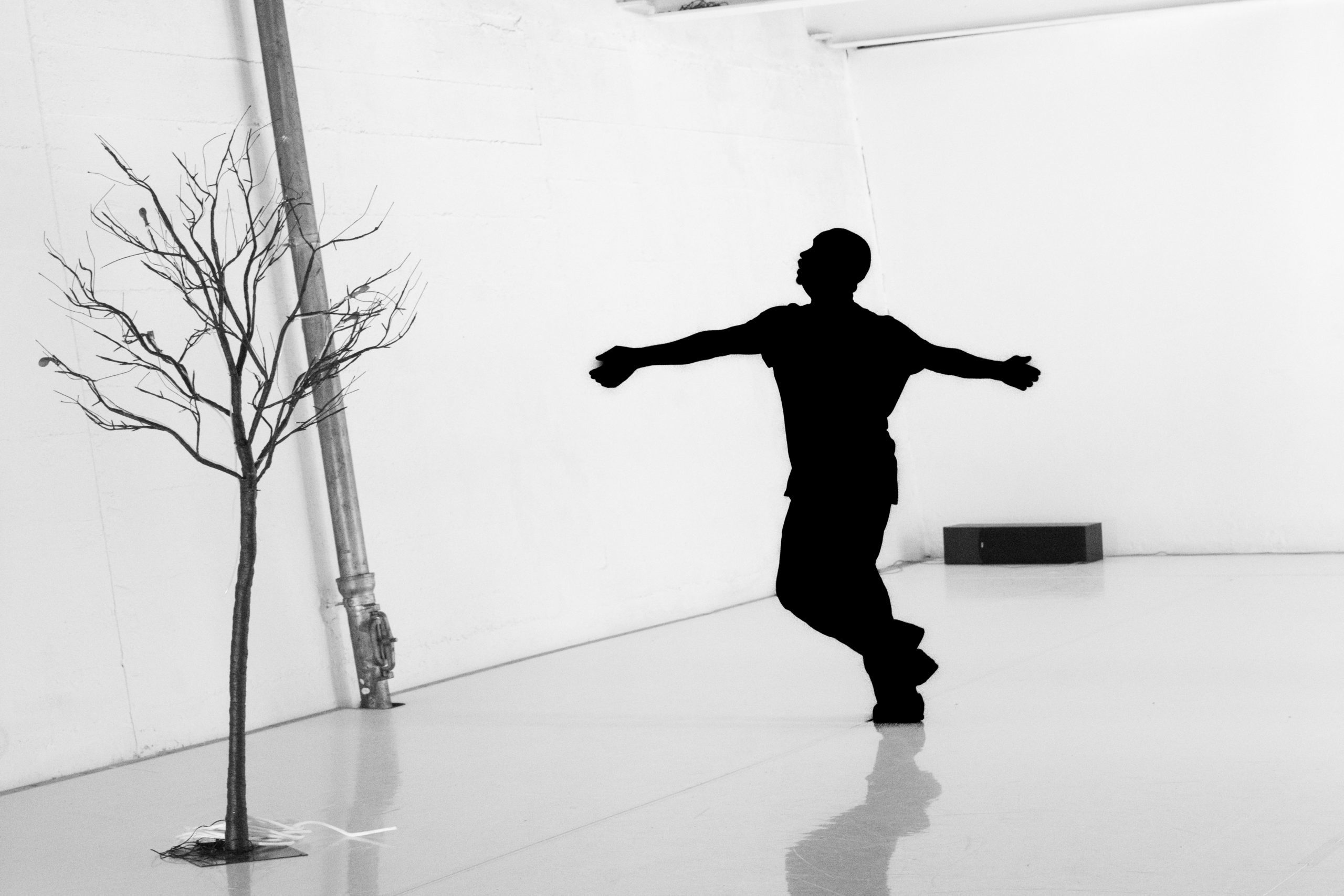 Cie Julio Arozarena – Assemblage's Festival